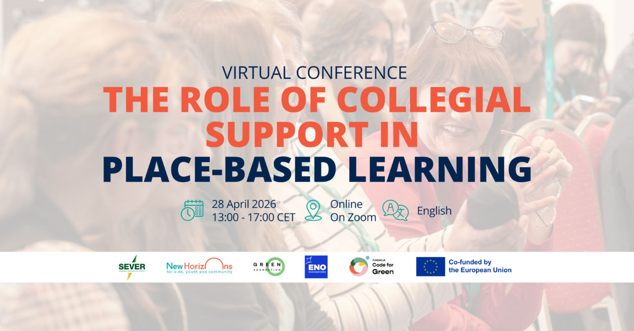 Turning Participation into Power through PBL and Service - Fundația Noi ...